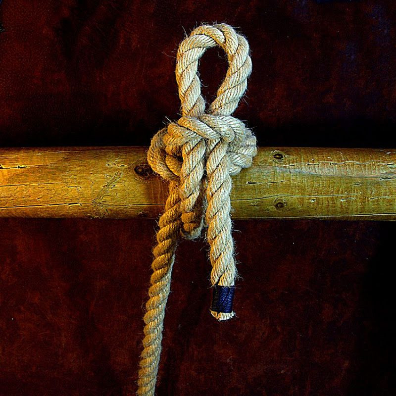 Cal Sailing Club - Sailing & Windsurfing Lessons, Racing, Cruising